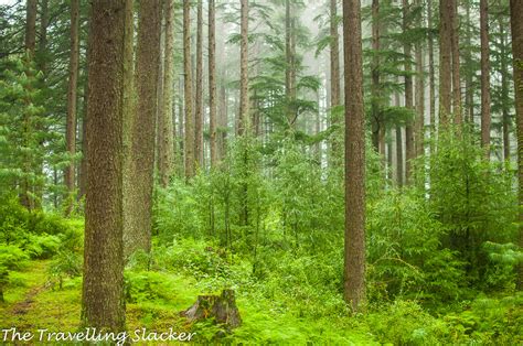Pundrik Rishi Lake Near Upper Neahi Sainj Valley The Travelling Slacker
