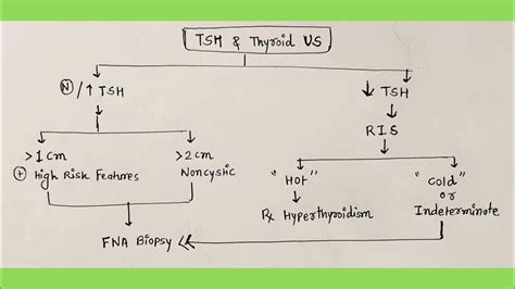 Algorithm 6 Thyroid Nodule Management Youtube