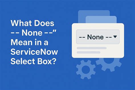 understanding the none value in servicenow select boxes