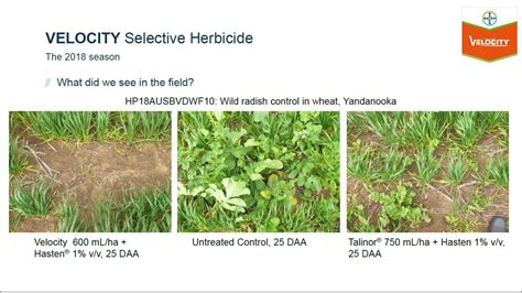 Selective Herbicides