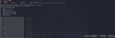 wireshark ping流量分析 ping包抓包分析 csdn博客
