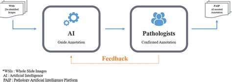 Artificial Intelligence Assisted Annotation Process Download Scientific Diagram