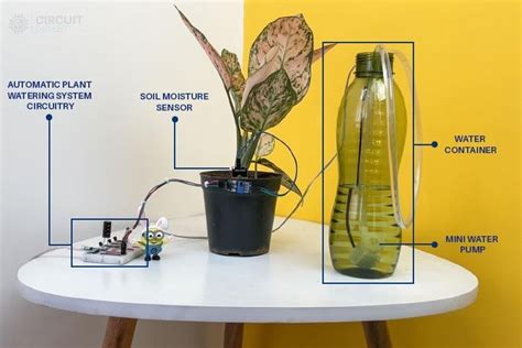 Simple Diy Automatic Plant Watering System Circuit Assembly And Demo