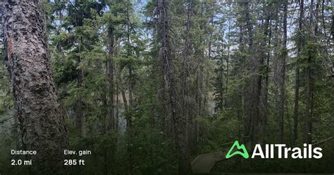 Devon River Valley Trail Alberta Canada 308 Reviews Map Alltrails