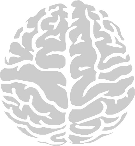 Brain 36657339 Vector Art At Vecteezy