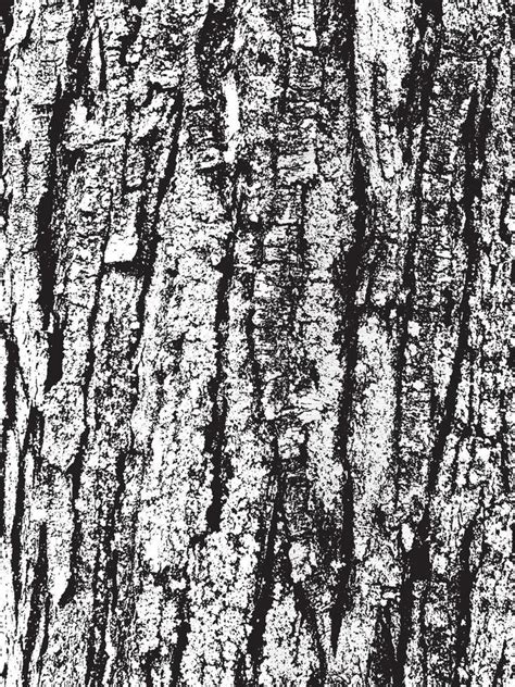 Grunge Tree Bark Texture Vector Art At Vecteezy