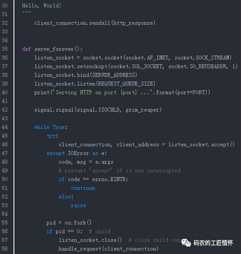 Python制作网页服务器python网络编程学习 简易网站服务器制作 Csdn博客