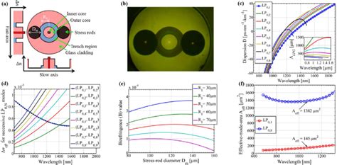 Design And Analysis Of The Polarization Maintaining Large Area