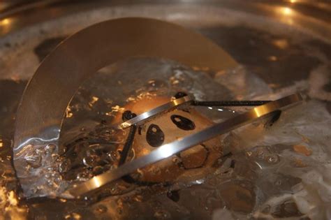 Egg Package Concept On Packaging Of The World Creative Package