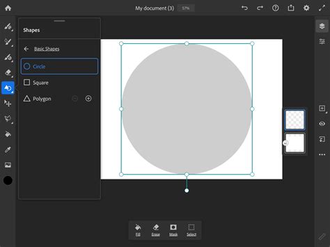 Bug Report Vector Circles Drawn From The Shapes Adobe Support Community