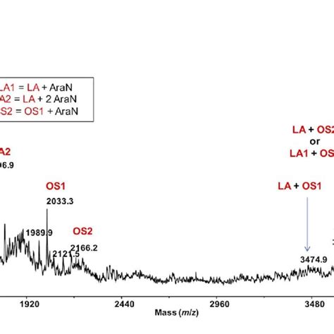 Maldi Mass Spectrum Of The Intact Lps From Strain Ist439 Mass Range