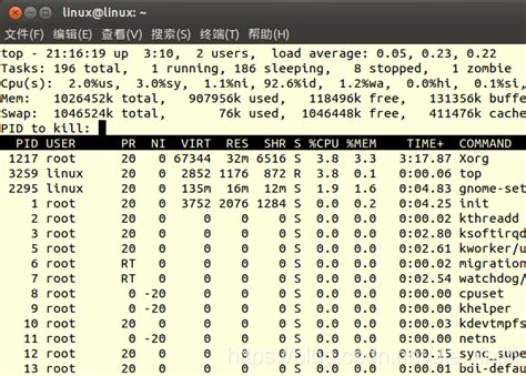 Linux第二讲实验、linux基本命令利用k健杀死指定进程号 Csdn博客