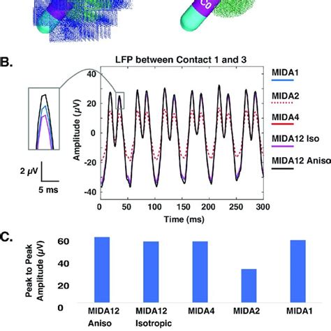 Lfp Model A Synchronous Neuron Population Green Dots At Four Download Scientific Diagram