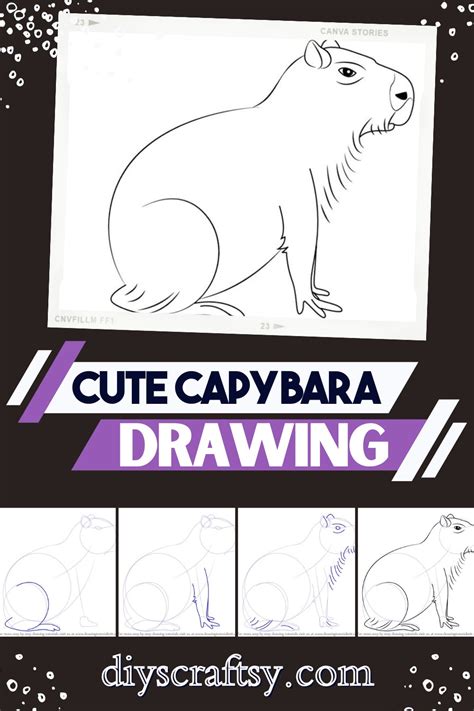 11 Capybara Drawing Ideas Step By Step Guide Diyscraftsy