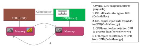 A Typical GPU Program Download Scientific Diagram