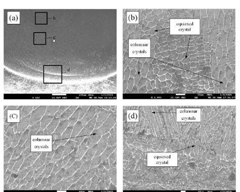 Cross Section Microstructure Morphologies Of Cladding Coating A