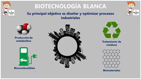 Biotecnología Blanca Ejemplos Y Aplicaciones Industriales