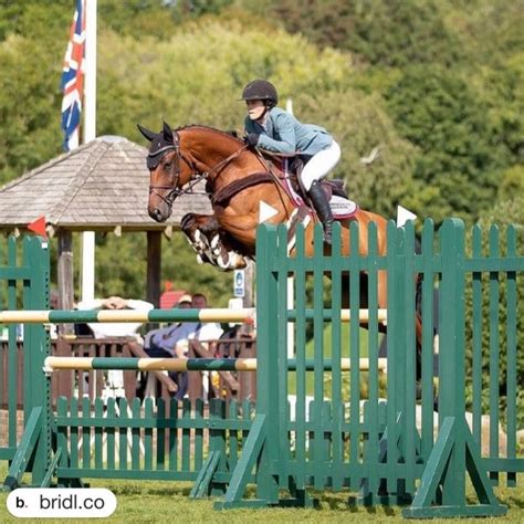 The Future Of Show Jumping Emerging Trends Technologies And