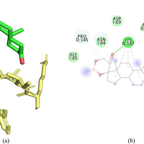 A Pymol Was Used To View The Interaction Of Pregnane 320 Dione