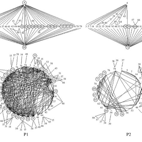 Correlation Structure Of The Relative Content For The Most Frequently