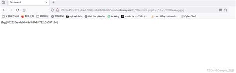 Hctf 2018 Warmup （代码审计） Csdn博客