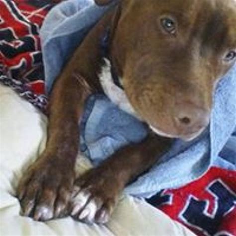 Stream Andrew Mccall Music Listen To Songs Albums Playlists For Free On Soundcloud