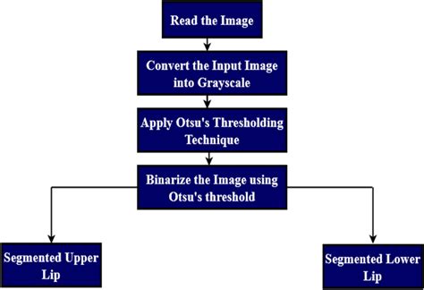 Flowchart Depicting The Segmentation Process Download Scientific Diagram