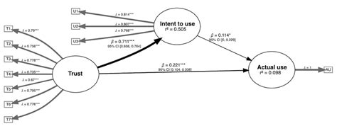 conceptual framework illustrating the significant paths connecting