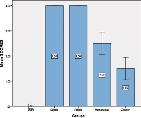 Histopathological Result Of Lung Tissue Of The Four Test Groups At The