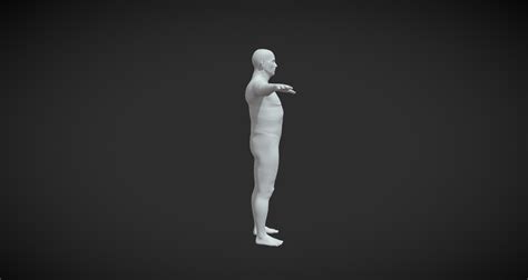 Stl File Body Base Mesh 👨 Obj ・3d Printing Design To Download・cults
