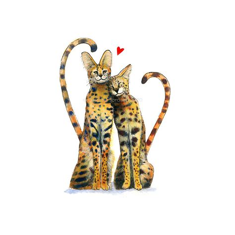 Serval Cats Caroline Art