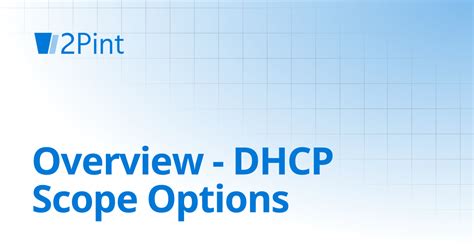 Overview Dhcp Scope Options Product Documentation