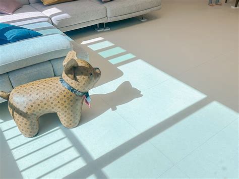 파파폼즈 유아매트 층간소음매트 아기매트 퍼즐매트 Ppfs ️ 오늘의 주인공은 우리 집 바닥 층간소음 걱정에 이젠 그만 스트레스 매트 시공으로 완벽하게