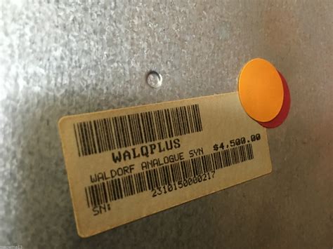 Matrixsynth Rare Waldorf Q Analogue Digital Synthesizer Sn 2310150000217