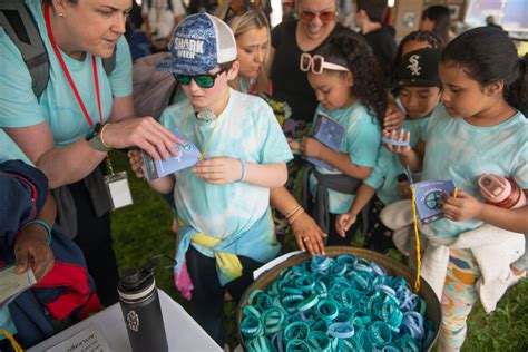 photos from the exploration zone learning from the experience — synergy
