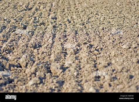 Soil Texture High Resolution Stock Photography And Images Alamy