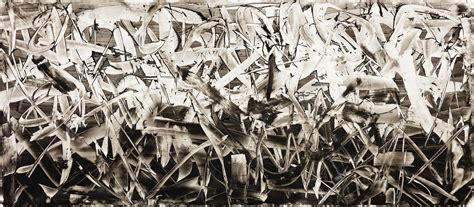 entangled lines co so copley society of art