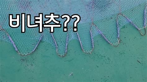 한양어망 신형납추 한양추투망 출시예정 비녀추와같은 효과 Cast A Net Youtube