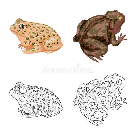 Isolated Object Of Wildlife And Bog Icon Set Of Wildlife And Reptile