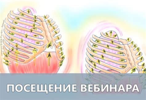 Выберите вариант