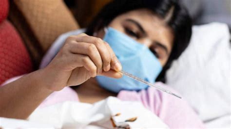 Platelets Fruits That Increase Platelets