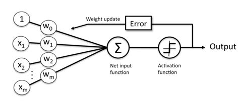 cnn入门讲解：什么是激活函数（activation function） 知乎