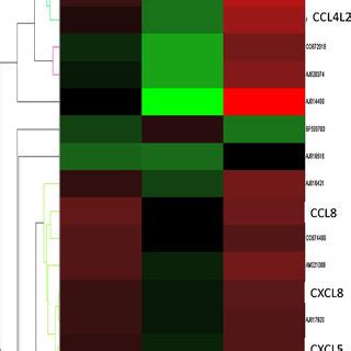 Clustergram Graphically Depicting Hierarchical Clustering Analysis Of