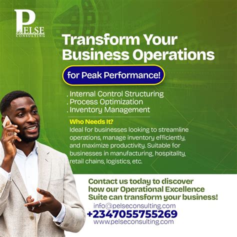 Pelse Consulting Boost Your Business With Operational Excellence