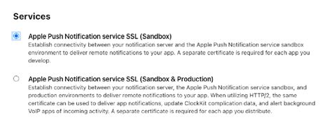 Flutter Push Notifications With Firebase Cloud Messaging
