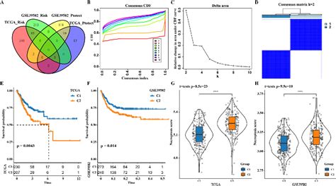 Figure 1 From Classification Of Molecular Subtypes For Colorectal