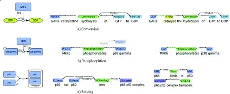 pathway model reactions and event representations illustration of