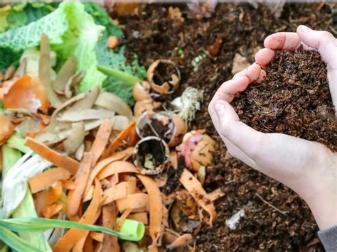 Join Us For A Composting Workshop In Medfield Medfield Ma Patch