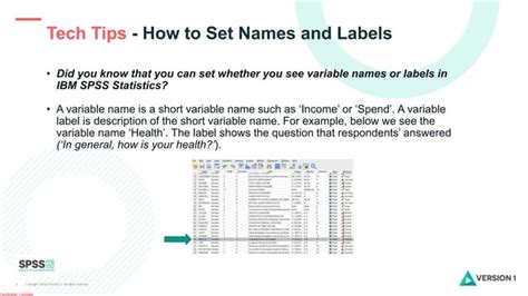 SPSS Statistics Setting Values And Labels In IBM SPSS Statistics Pptx