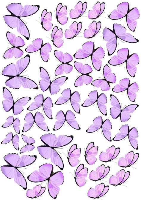 шаблон бабочки на торт How To Wrap Flowers Butterfly Cards Handmade Butterfly Wallpaper Iphone